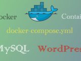 Install Mysql And Wordpress With Docker Compose Yml Techsbucket