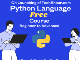Programming Essentials In Python Course Techshoor