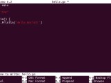 How To Install Go Golang On Ubuntu Techsphinx