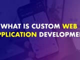 What Is Custom Web Application Development Techunfolded