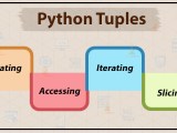 Python Tuples The Immutable Sequence Of Objects Techvidvan