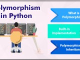 Polymorphism In Python With Examples Techvidvan