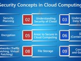 Cloud Computing Security