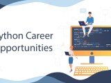 Python Career Opportunities Techvidvan