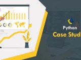 Python Case Studies That Programmers Should Know Techvidvan