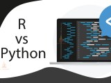 Python Vs R For Data Science Techvidvan