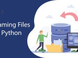 Renaming Files In Python Techvidvan