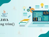 Java String Trim Method Techvidvan