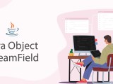 Java Objectstreamfield Class Techvidvan