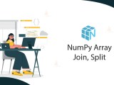 Numpy Join And Split Array Techvidvan