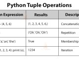 Python Tuples The Immutable Sequence Of Objects Techvidvan