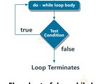 Loops In C Techvidvan