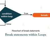 Java Break Statement Techvidvan