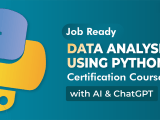 Data Analysis Using Python Certification Course With Ai Chatgpt