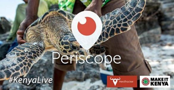 You will be able to see the Kenyan coastal reef via a Turtle cam on ...