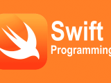 Swift Macos Programming Bdaspider