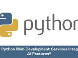 Python Web Development Services Tecizeverything