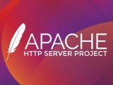 Apache Http Server Masih Menjadi Pilihan Utama Web Hosting Teckknow