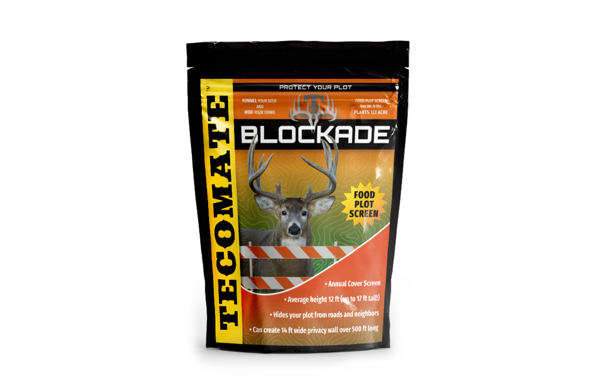 Best Food Plot Seed For Shady Areas Tecomate