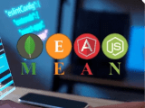 Expert Web Development Services Custom Websites