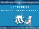 Custom Wordpress Plugin Development Template Path