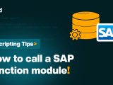 Script Example For Calling An Sap Function Module