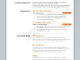 Programmer Cv Template
