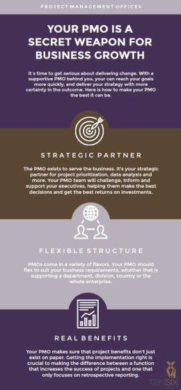 What Does A Project Management Office PMO Do 2022 What Does A Project Management Office PMO Do 2022