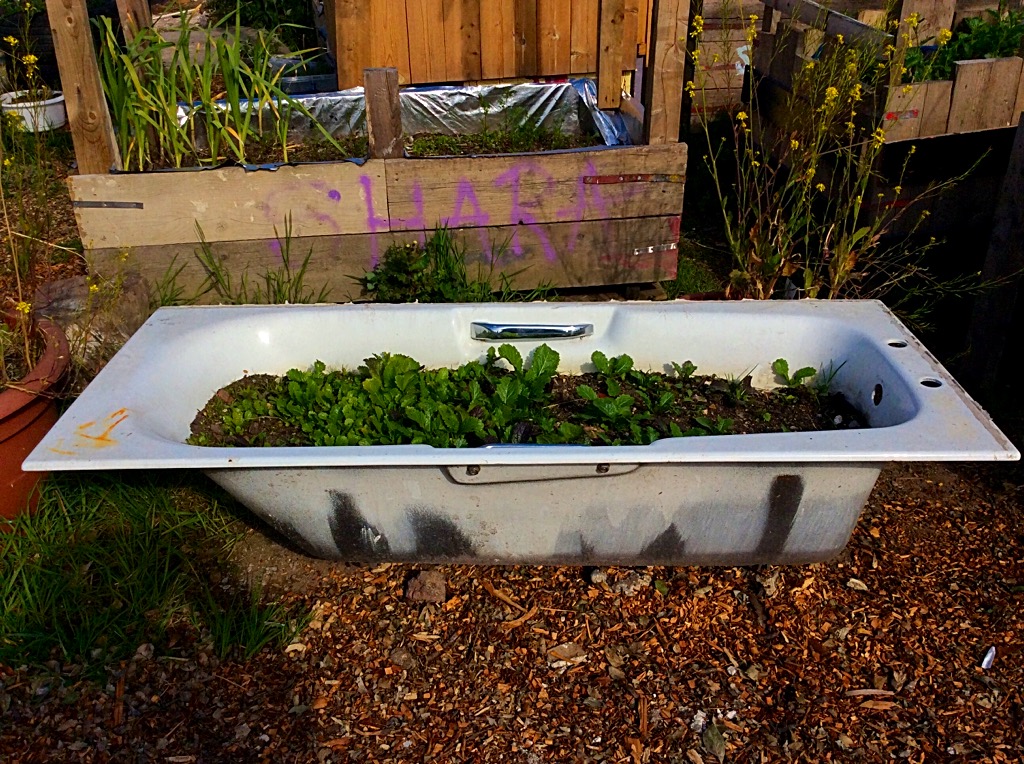 James Wheale and Nomadic Community Gardens – Creating Community through ...