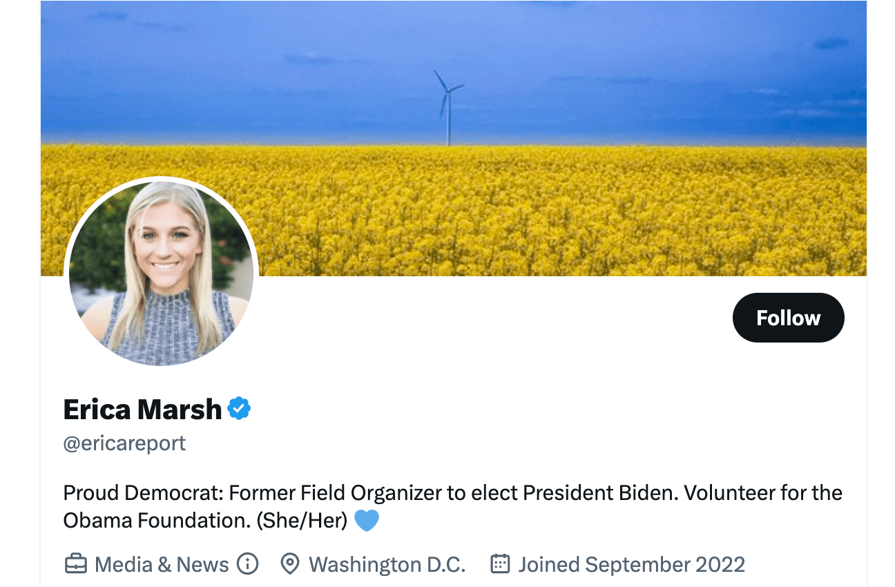 Trump's Lawyers, Disinformation, and Social Media - Teri Kanefield