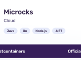 Testcontainers Microcks Module