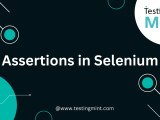Assertions In Selenium Testingmint