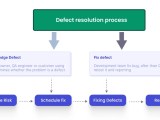 Software Defect