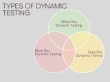 What Is Dynamic Testing A Complete Guide Testrigor Ai Based