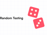 Random Testing Importance Example How To Perform