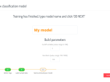 Custom Text Classification Model Training