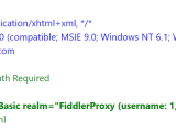 Web Proxy Authentication Text Plain