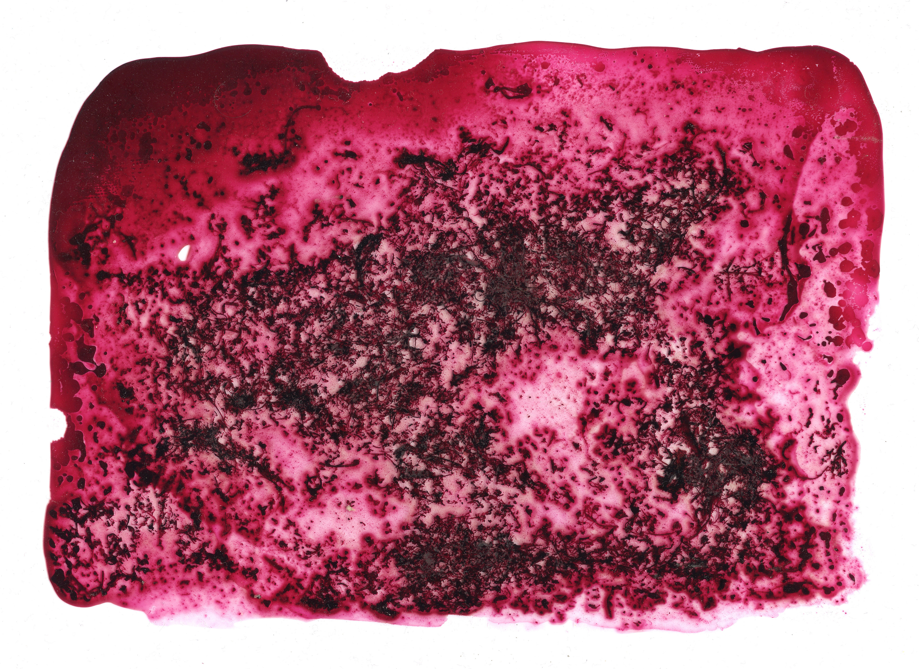 11 Beetroot Red Textures