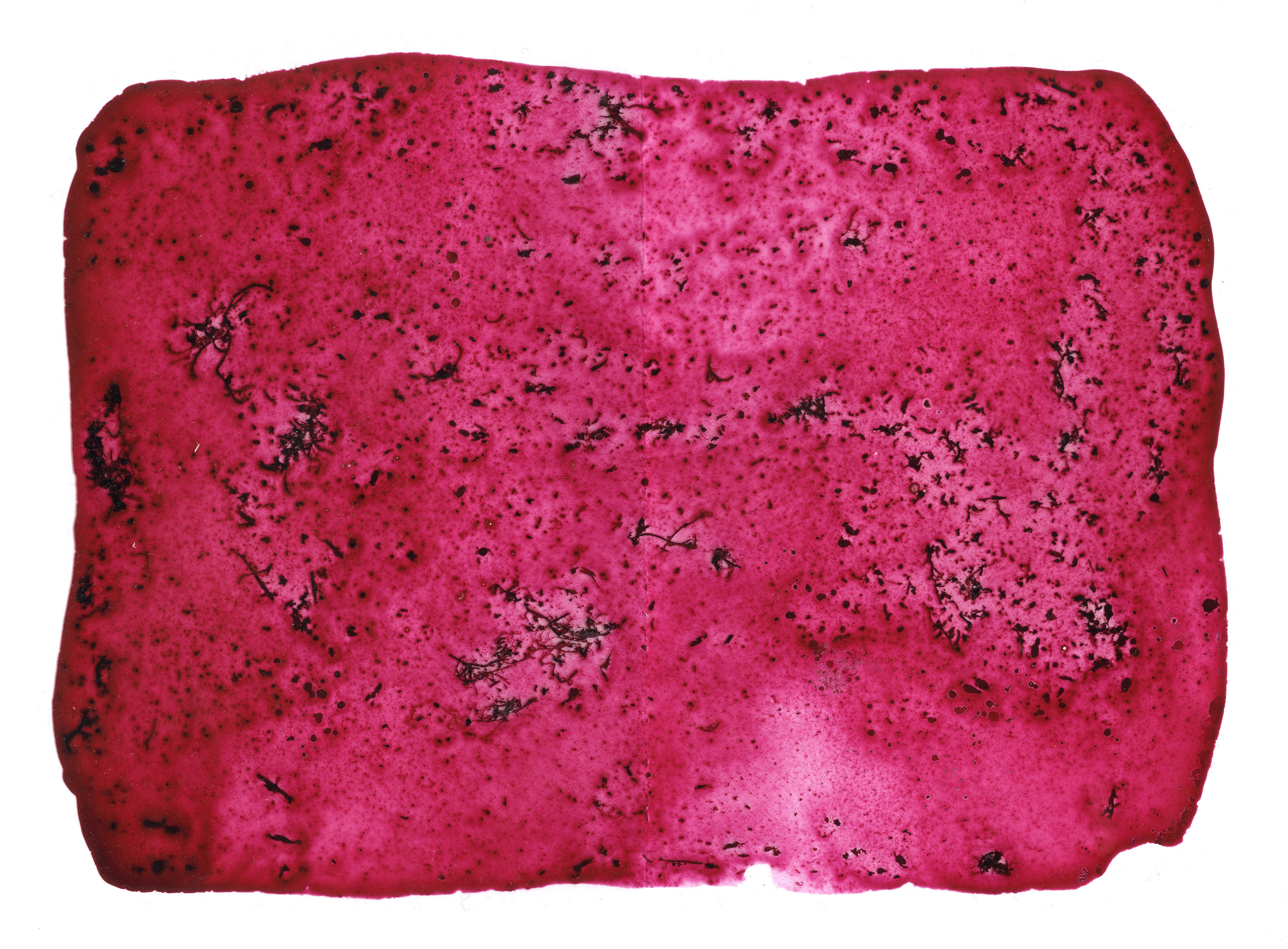 11 Beetroot Red Textures