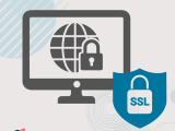 Extended Validation Ssl At Cheap Price With 24 7 Expert Support