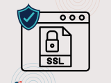 Cheap Ssl Certificate Tezhost
