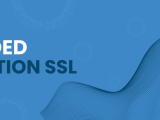Extended Validation Ssl Tezhost