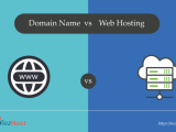 Domain Name Vs Web Hosting Differences Relationship Tezhost