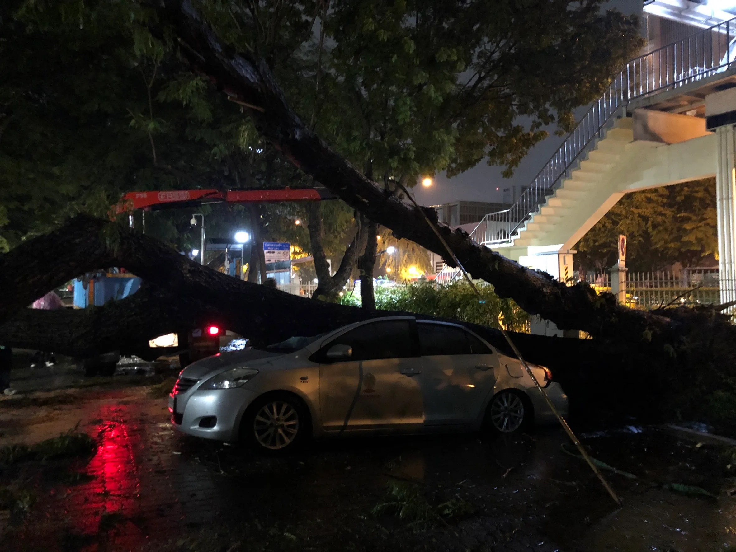 Tree falls on car, cab during rainstorm, cabbie safe – Thai Newsroom