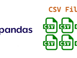 Pandas Read Muliple Csv Files That S It Code Snippets