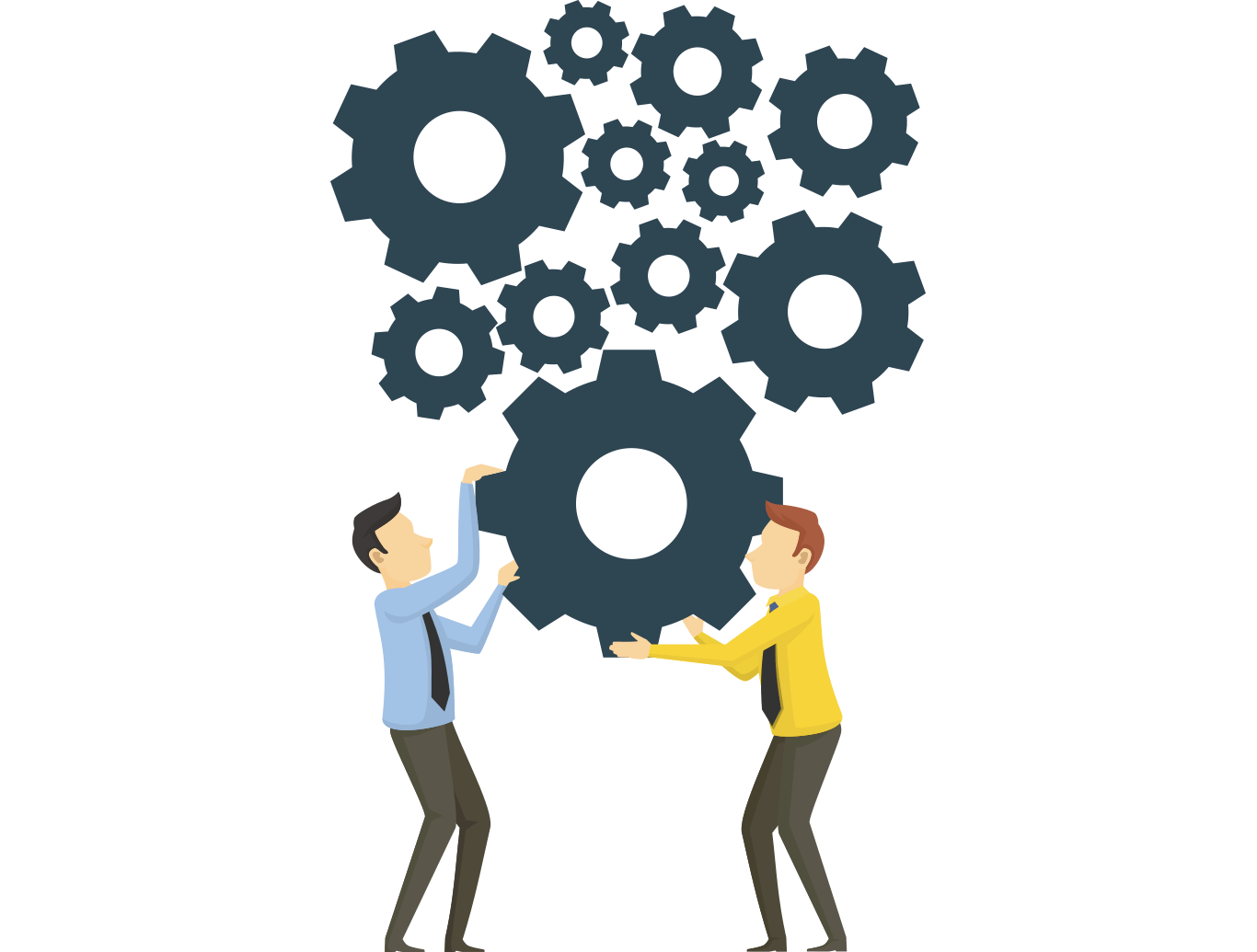 THCBin - Training, Development, Computer services provider