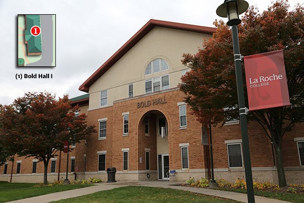 La Roche University: Ranking, Acceptance Rate, Admission Requirements ...