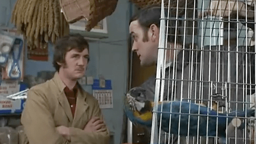 This is an ex-parrot! – The Amateur's Guide To Death & Dying