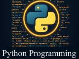 Python Programming For Beginners Structured Roadmap To Become A