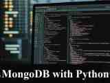 Master Mongodb With Python Unlock The Power Of Data Handling And Learn